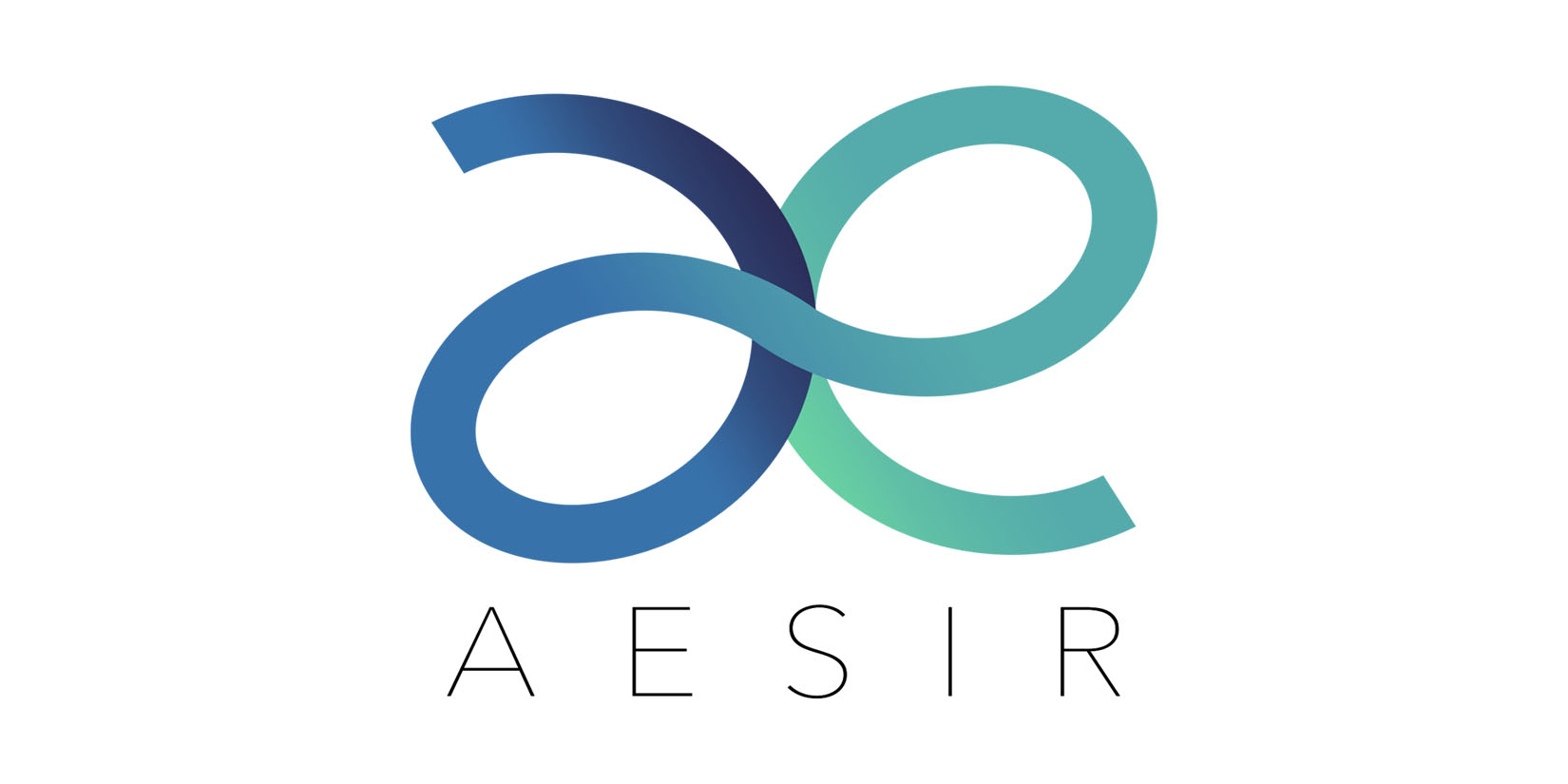 Software CRM – Aesir